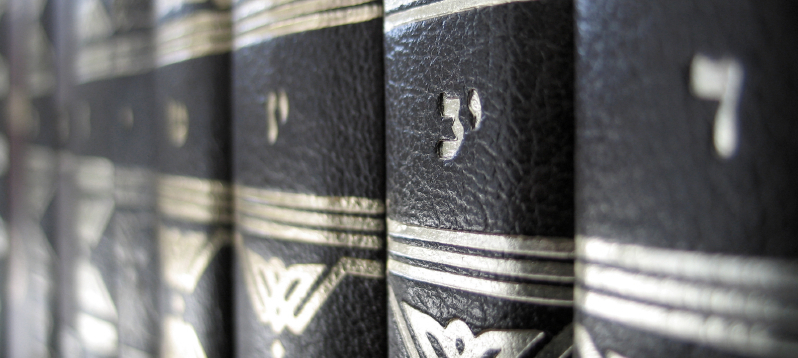How to Use the NLE Thinking Gemara Series | OLAMI Resources