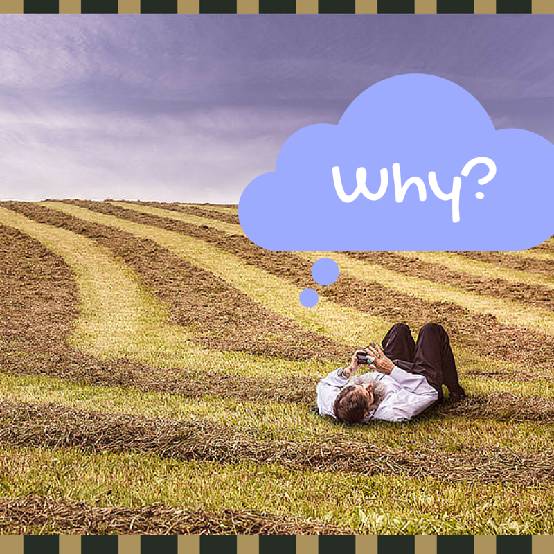 Know Your Why | OLAMI Resources