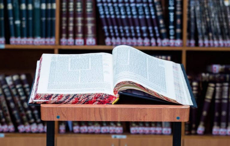 Thinking Gemara Series | OLAMI Resources